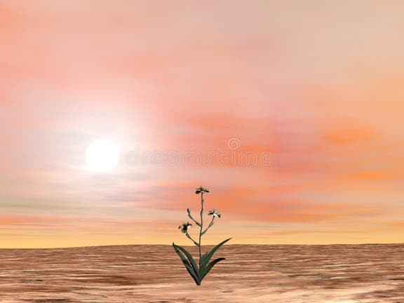 Single flower - 3D render stock illustration. Illustration of courage ...