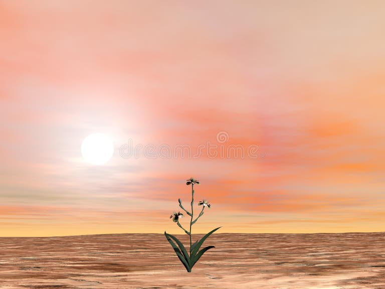 Single flower - 3D render stock illustration. Illustration of courage ...