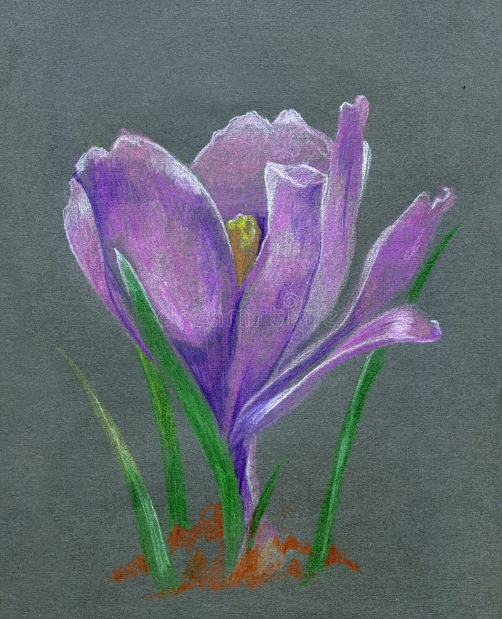 Flower sketch bouquet stock illustration. Illustration of element ...