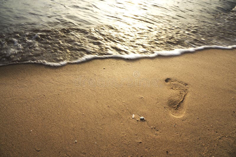 Single Foot Print at the Beach Stock Image - Image of malaysia, golden ...