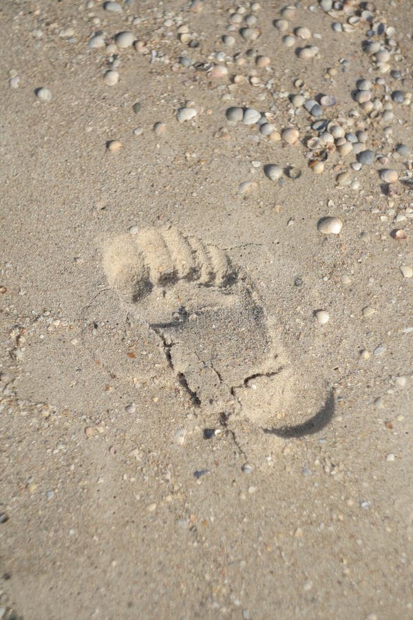 A Single Foot Print Imprinted on the Sand Beach, Top View. Selective ...