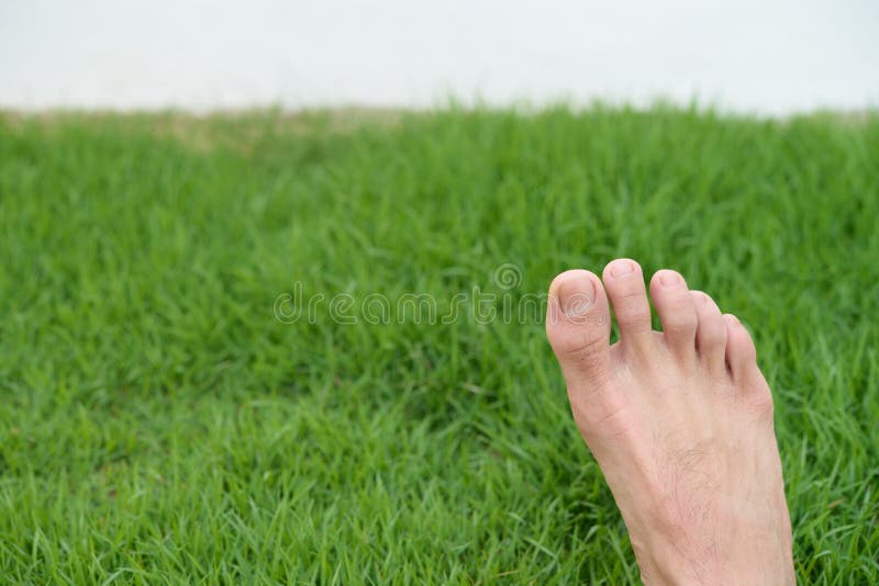 Single foot on the right stock image. Image of green - 37208753