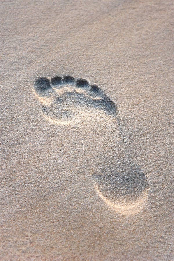 Footprints in wet sand stock photo. Image of beach, barefoot - 22220398