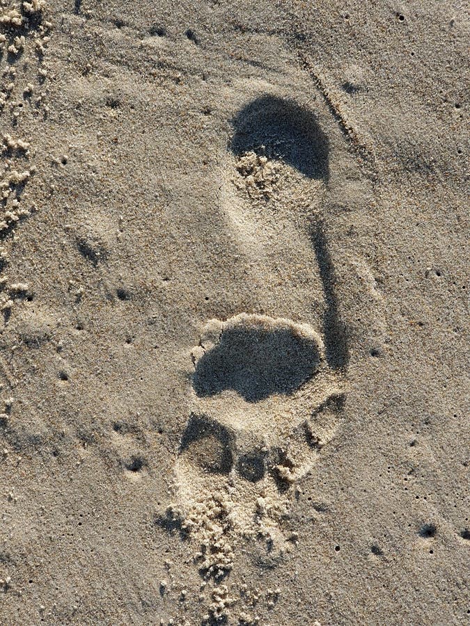 Single Footprint on the Beach Stock Photo - Image of shore, people ...