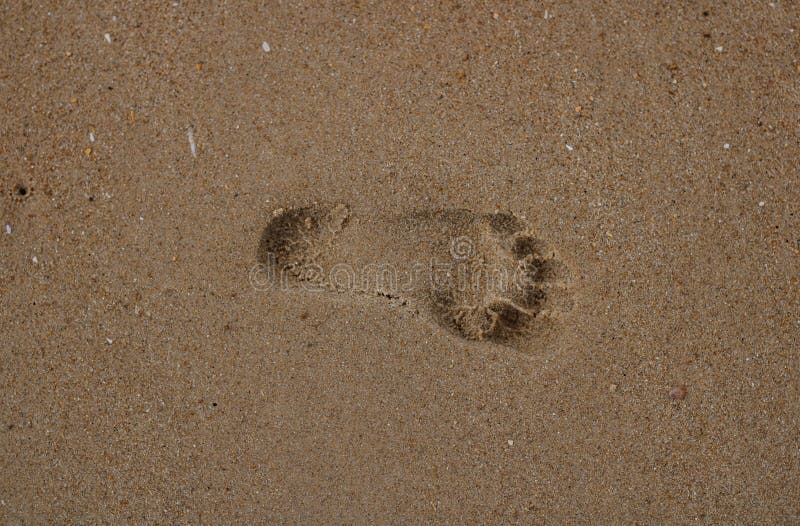 Single Footprint on the Sand of a Beach Stock Image - Image of coast ...