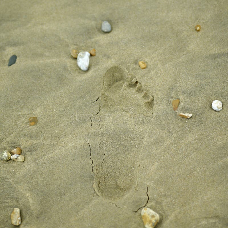 A Single Footprint on Sand. Conceptual Image Stock Photo - Image of ...