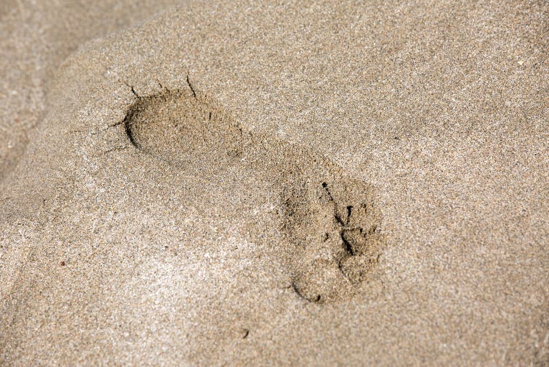 Single Footstep at the Sand Stock Photo - Image of step, alone: 40915520