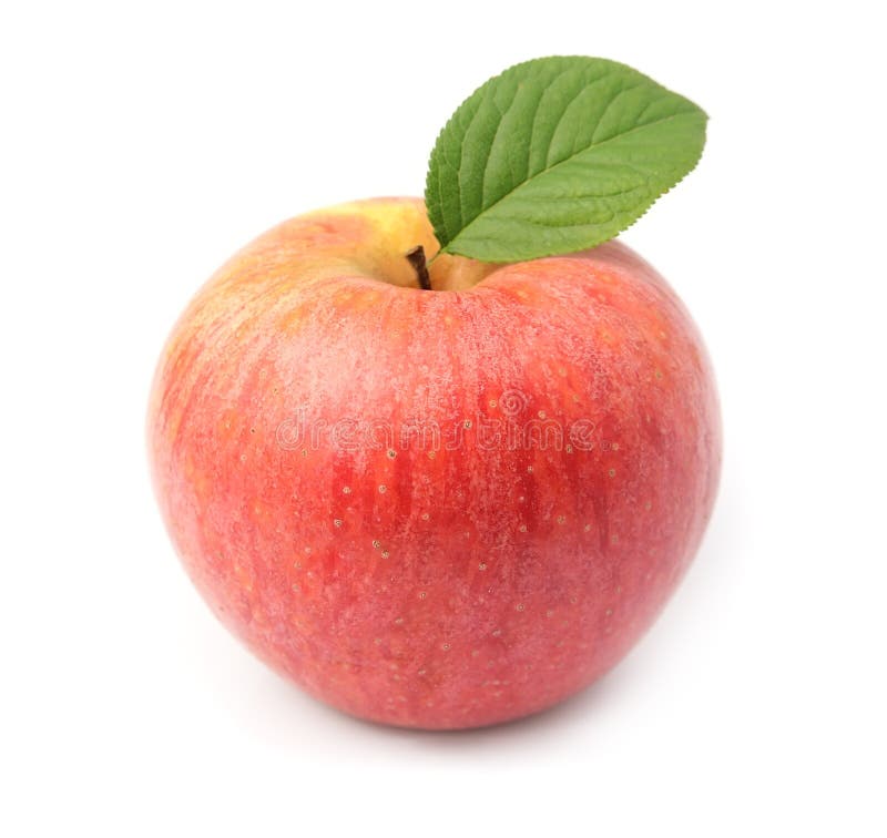 Single fresh apple stock image. Image of single, food - 57369439