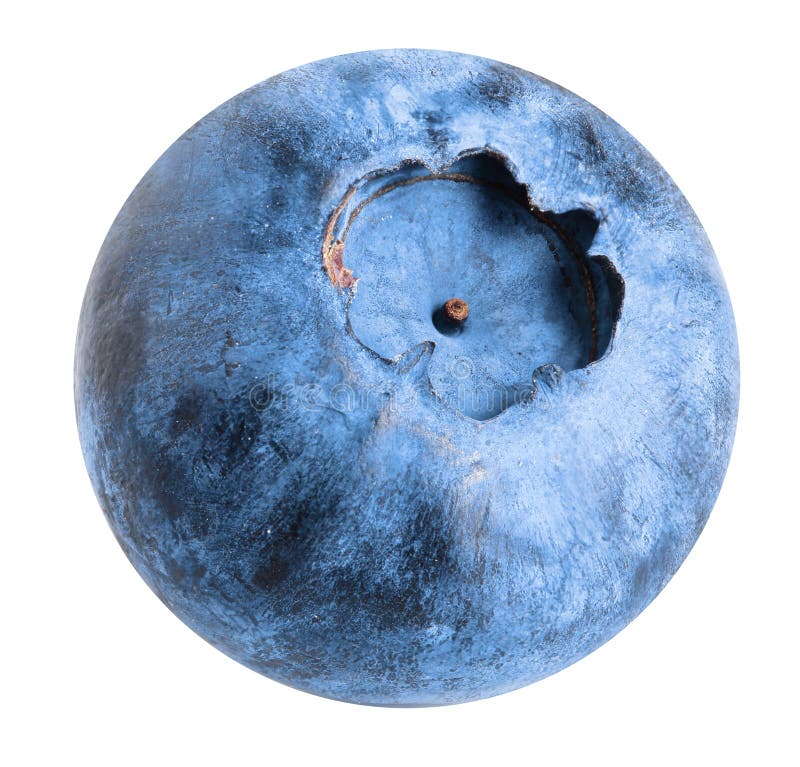 Single Fresh Blueberry Isolated On White Background Stock Photo - Image ...
