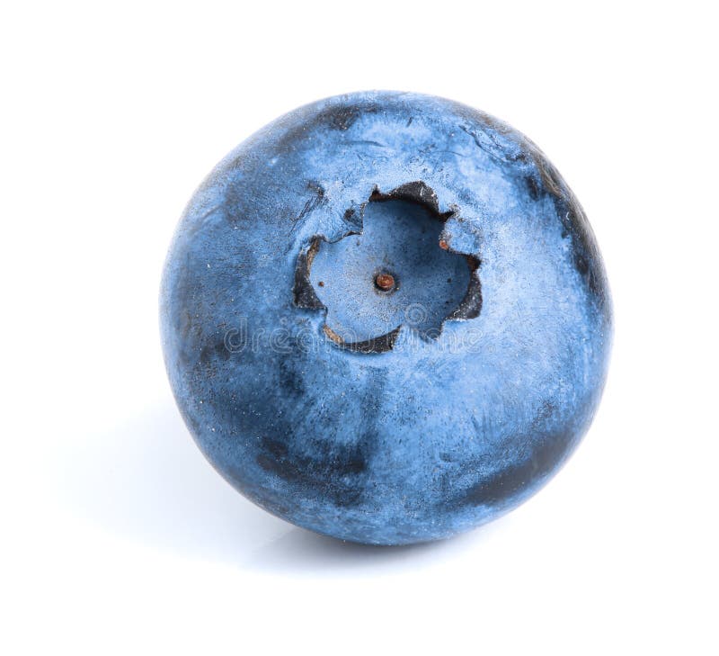 3,106 Single Blueberry Photos - Free & Royalty-Free Stock Photos from ...