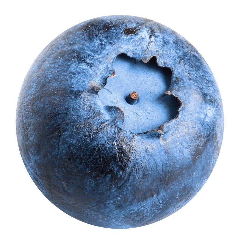 2,657 Single Fresh Blueberry Photos - Free & Royalty-Free Stock Photos ...