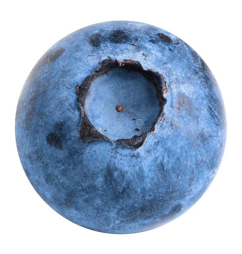 2,657 Single Fresh Blueberry Photos - Free & Royalty-Free Stock Photos ...