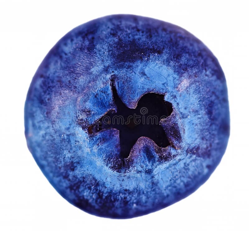 Single Fresh Blueberry Isolated on White Background Stock Photo - Image ...