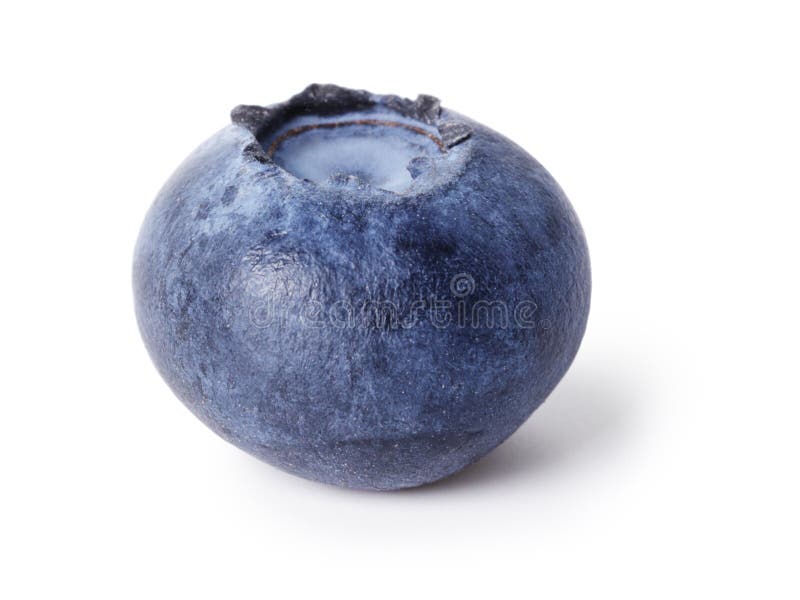 Single fresh blueberry stock photo. Image of group, blue - 37018128