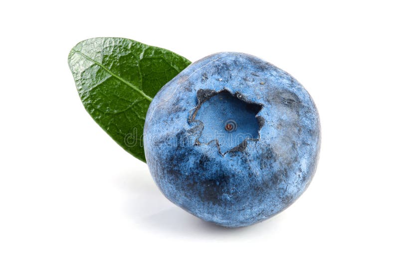 3,509 Single Blueberry Photos - Free & Royalty-Free Stock Photos from ...