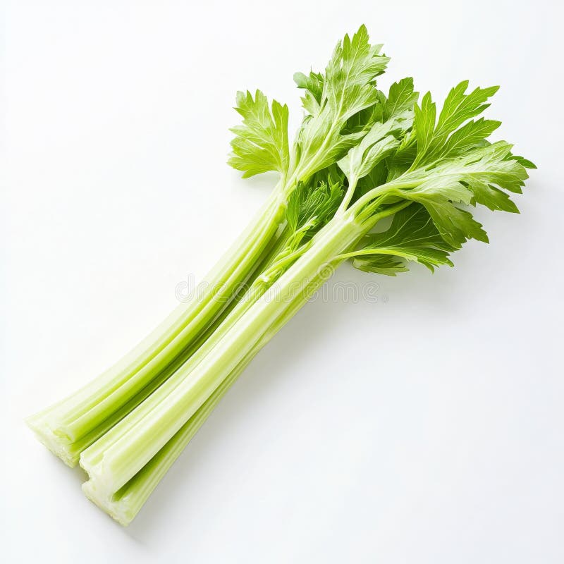 A Single Fresh Celery Stalk with Leaves, Isolated on a White Stock ...