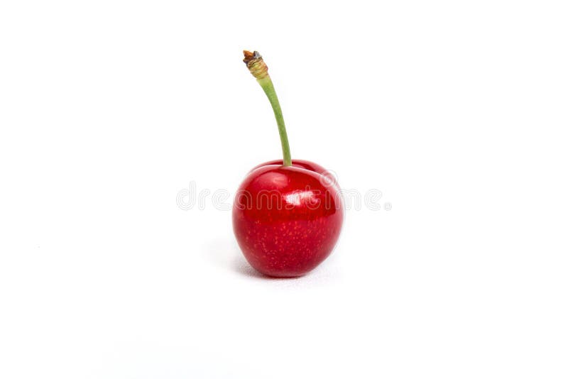 Single fresh cherry stock image. Image of fresh, nutrition - 56221043