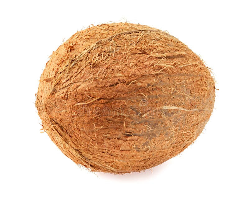 Single Coconut Trees Growing Up On Seabeach Ingredients Of Thai Food Or ...