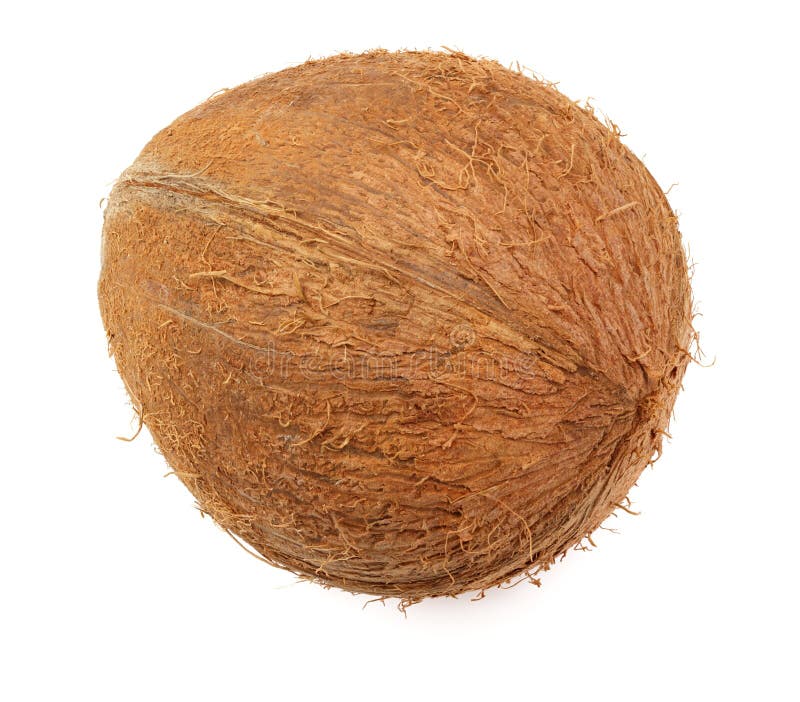 Single The Coconut Tree Growing Up On The Sea Beach Isolated On White ...