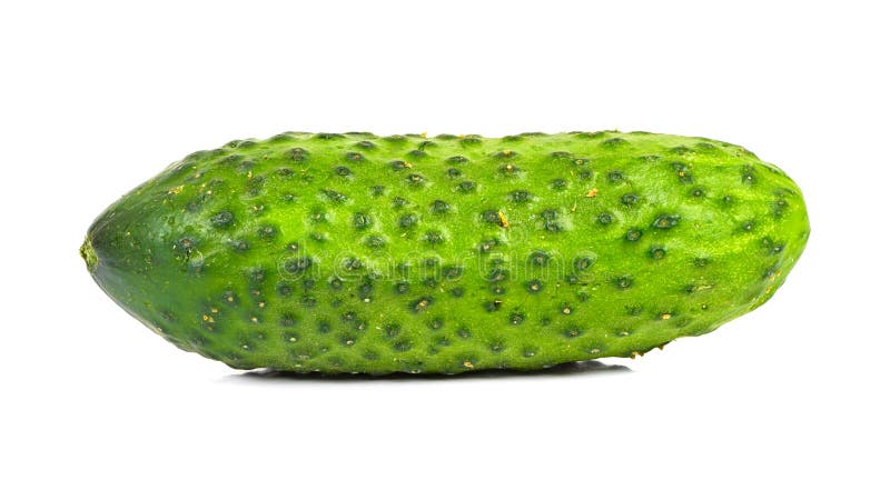 Single Fresh Cucumber On White Background Stock Image - Image of ...