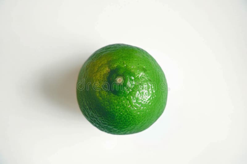 A Single Fresh Green Lemon on a White Background Stock Illustration ...