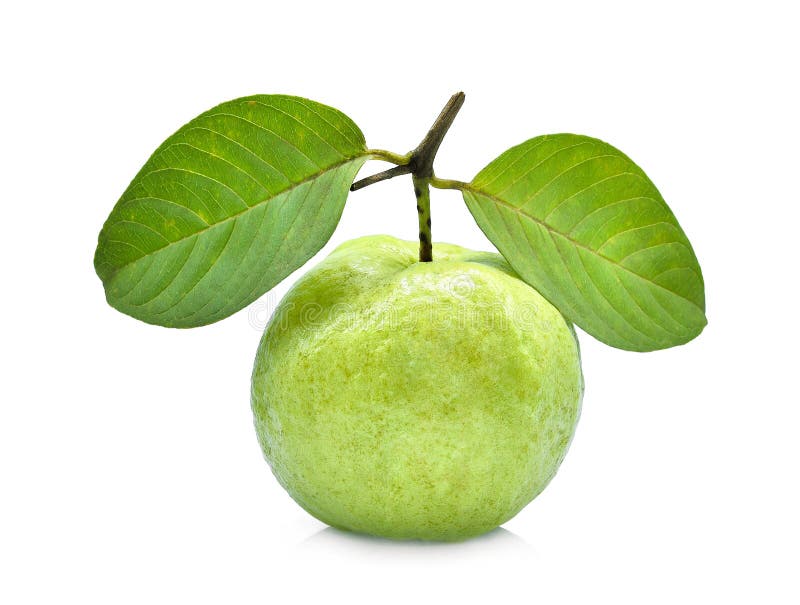 Single Fresh Guava Fruit with Green Leaf Isolated on White Stock Photo ...