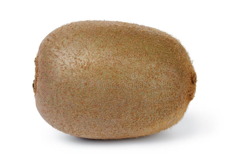 Single kiwi fruit stock photo. Image of clipping, eating - 84231704