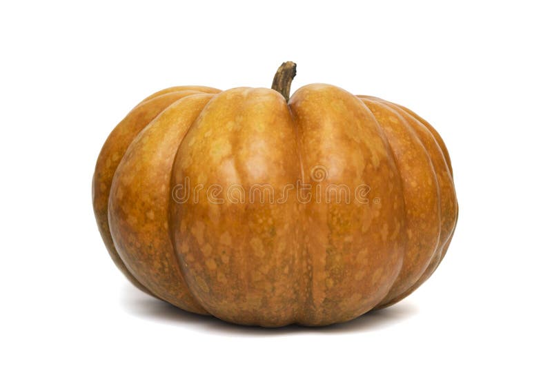 Single Fresh Orange Pumpkin Isolated on White Background. Pumpkin ...