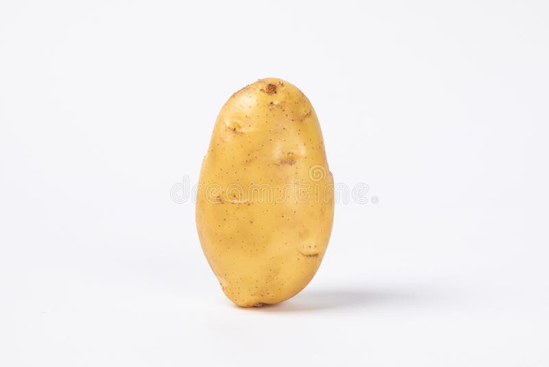 Single Fresh Raw Potato Isolated on White Background Stock Image ...