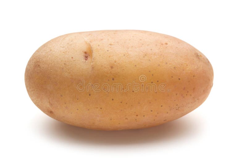 Single raw potatoes stock image. Image of brown, front - 25036221