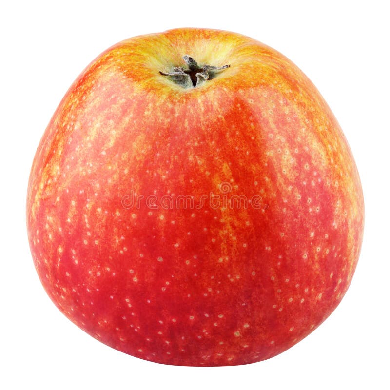 Single Fresh Red Yellow Apple Isolated on White Stock Image - Image of ...