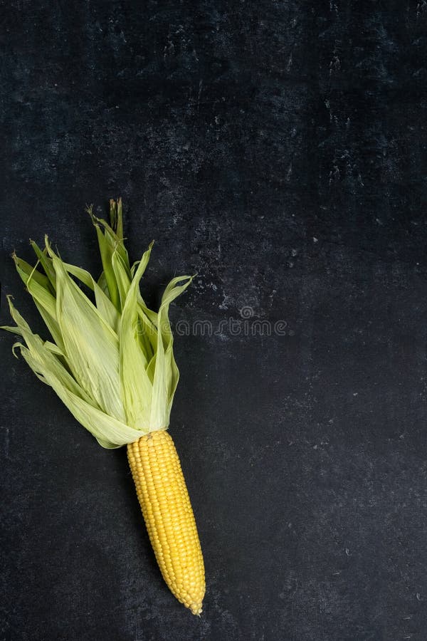 Single Fresh Ripe Maize Corn, on Dark Background with Cpy Space, Top ...