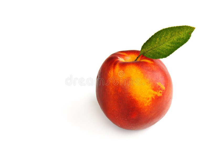 Single Fresh Ripe Nectarine Stock Image - Image of macro, health: 20622293