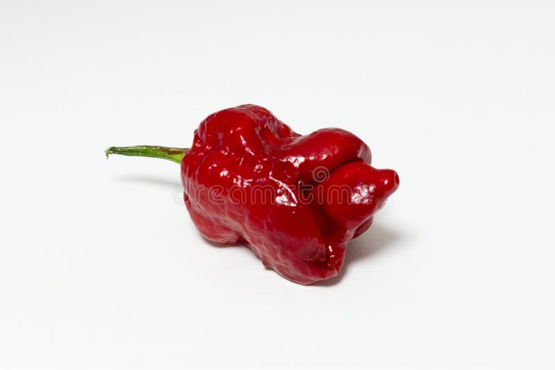 280 Chilli Scorpion Stock Photos - Free & Royalty-Free Stock Photos ...
