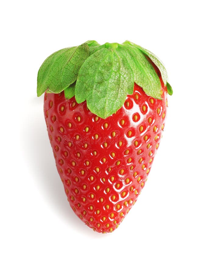 Single Fresh Strawberry stock image. Image of single - 157341305
