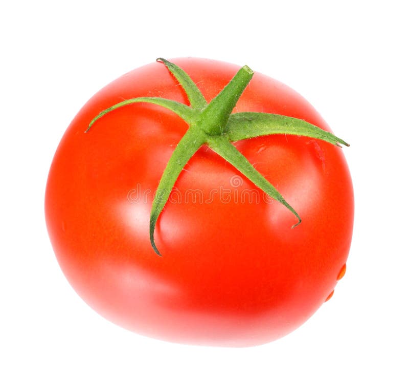Single Fresh Tomato Isolated on White Background Stock Image - Image of ...