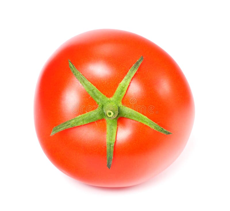 Single Fresh Tomato Isolated on White Background. Close Up Stock Photo ...