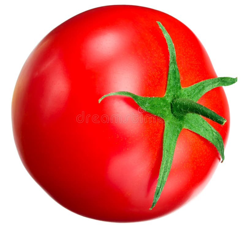 Fresh Tomato Slices Isolated on White Background. Top View Stock Photo ...