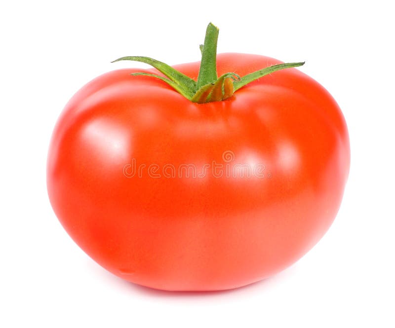 Single Fresh Tomato Isolated On White Background Stock Image - Image of ...