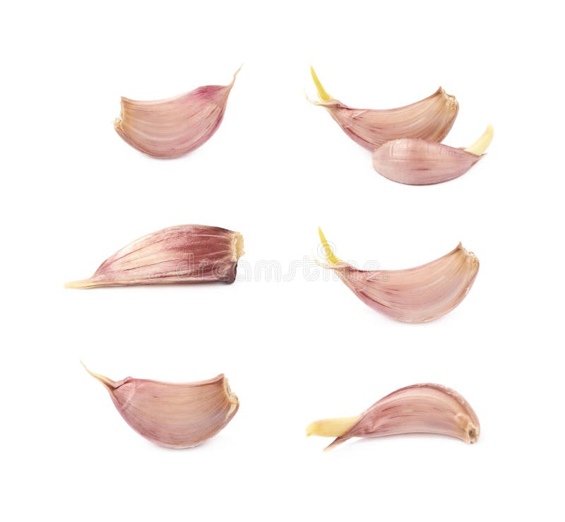 Single Garlic Clove Isolated Stock Image - Image of herb, meal: 91975097