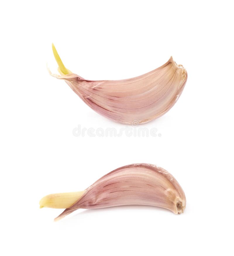 Single Garlic Clove Isolated Stock Photo - Image of organic, scent ...