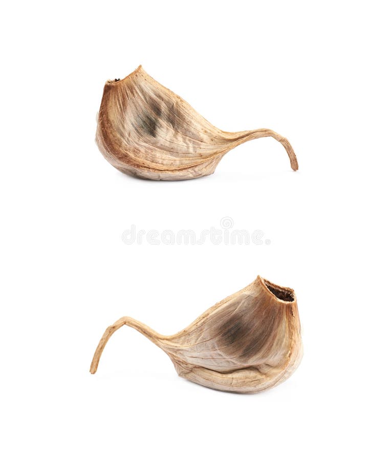 Single Garlic Clove Isolated Stock Image - Image of ingredient, healthy ...