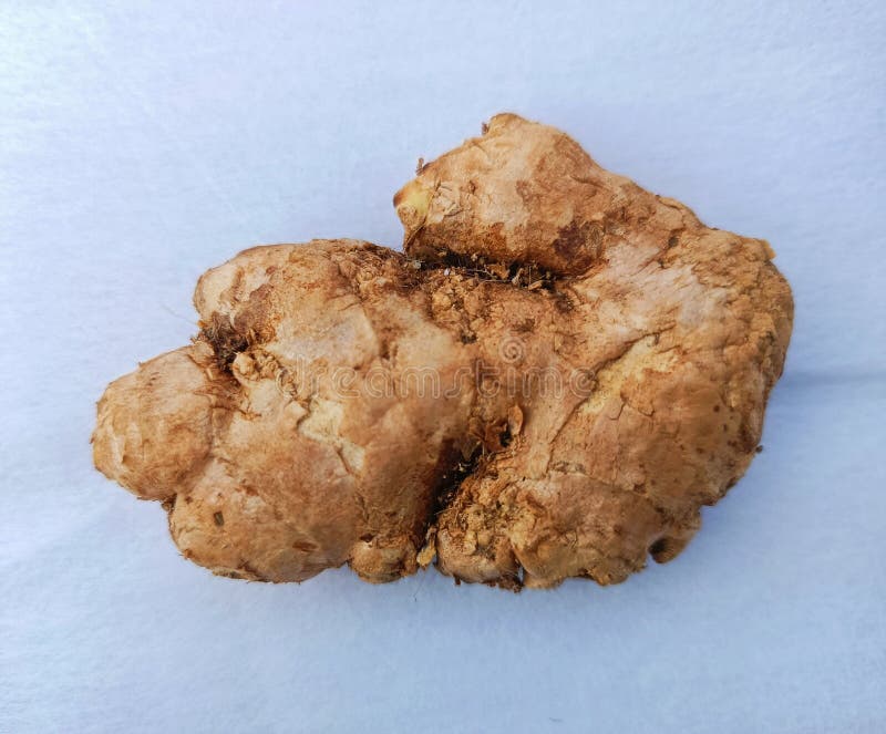 Singleginger Stock Photos - Free & Royalty-Free Stock Photos from ...