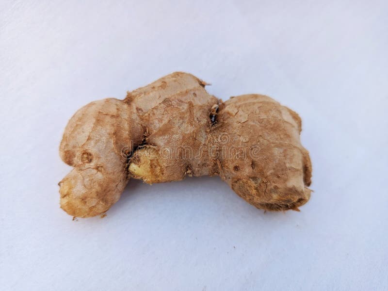 Single Ginger on White Background Fresh Stock Image - Image of wood ...