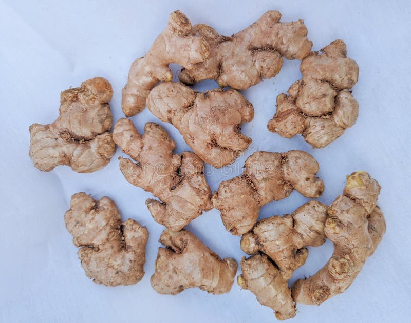 Group Ginger on White Background Fresh Stock Image - Image of meal ...