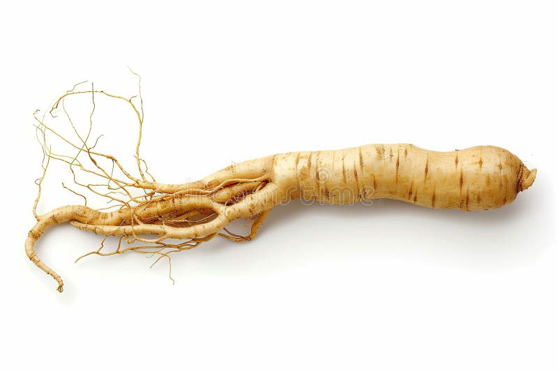Single Ginseng Root with Green Top Isolated on White Background Stock ...