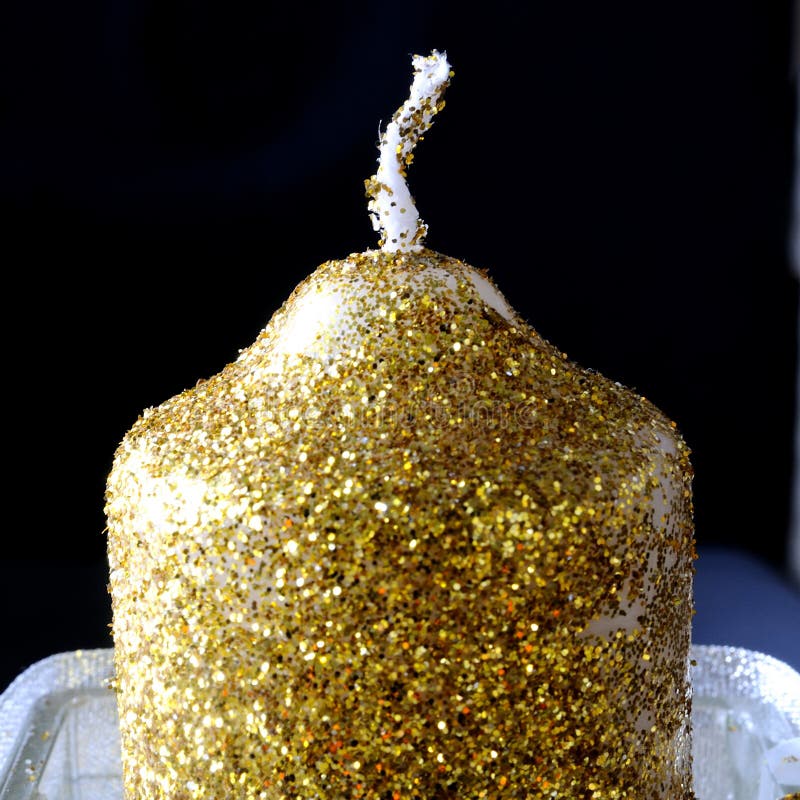 A Single Gold Wealth Tree with Bright Yellow Leaves on Display Stock ...