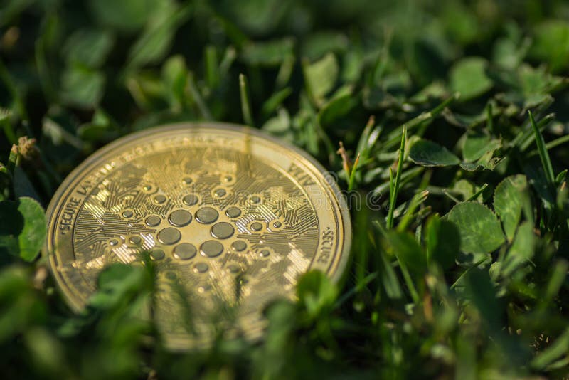 Single Golden Ada Coin from Cardano Currency Lying in the Grass in the ...