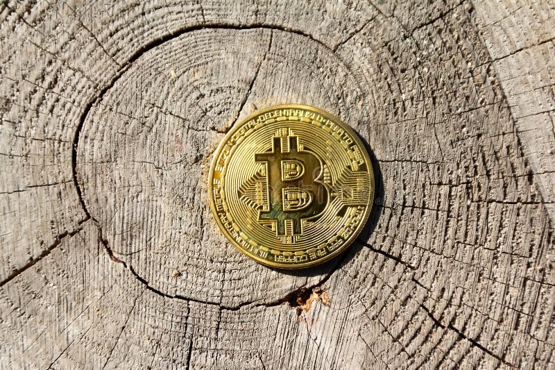 Single Golden Bitcoin is Standing on the Wooden Surface Stock Image ...