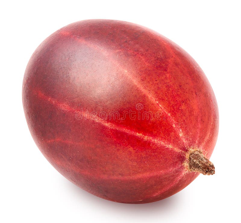 Single Berry Raspberry Isolated Stock Photo - Image of food, healthy ...